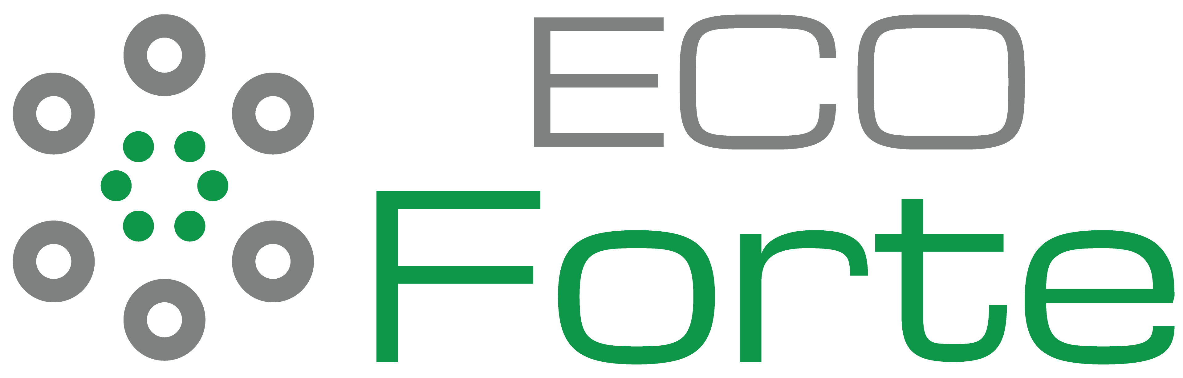 ECO Forte - Prakse